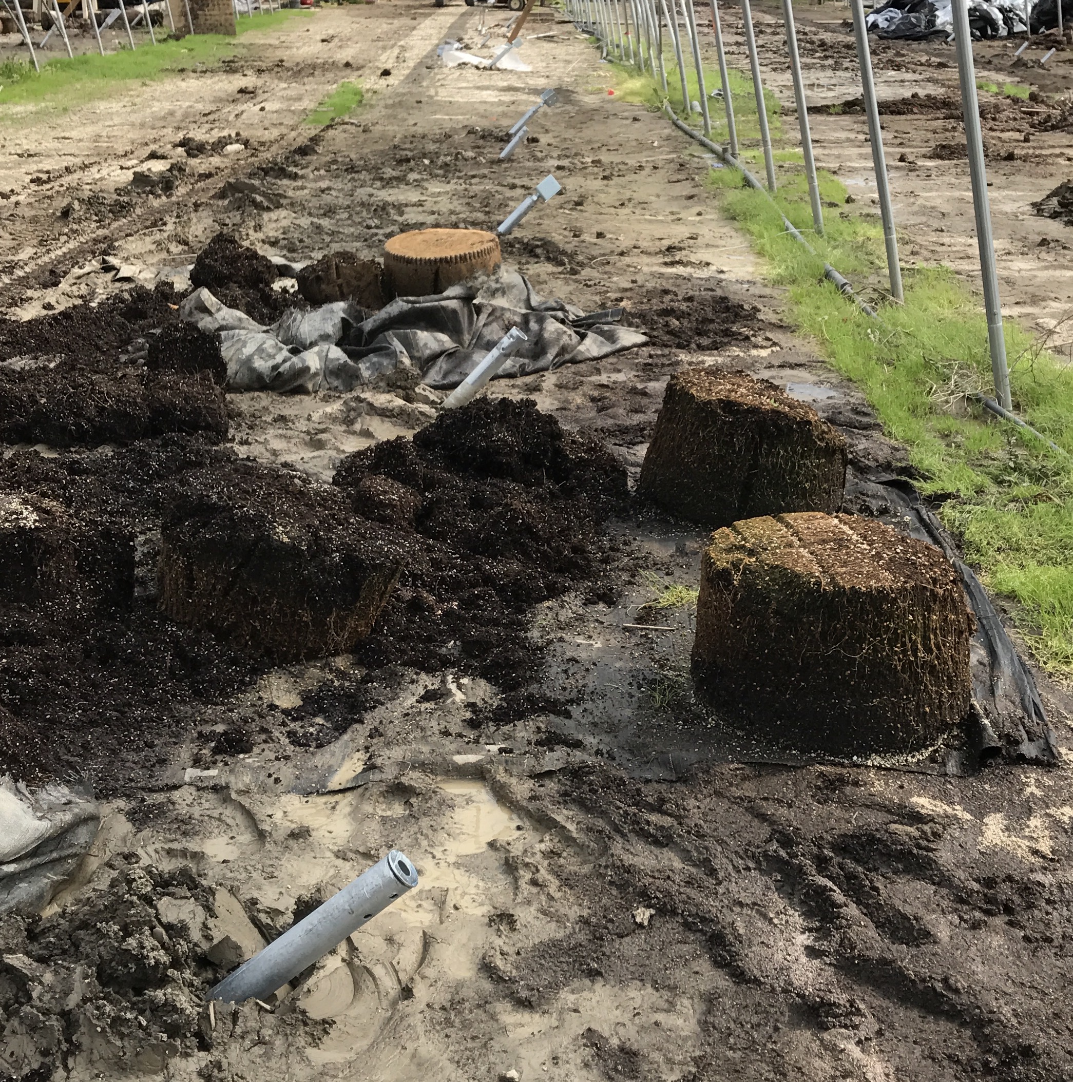 IMG_0501 (Edited) – South West Piling Inc.